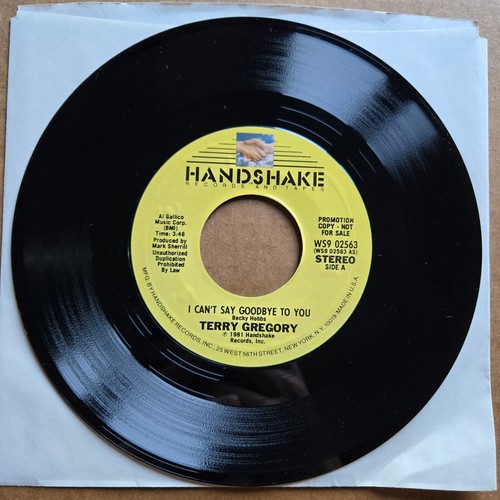 TERRY GREGORY I Can't Say Goodbye To You PROMO DJ 45 7" COUNTRY Vinyl ...