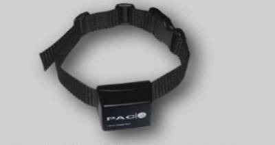 CS PAC BXC Digital Collar only for BXTA series | eBay