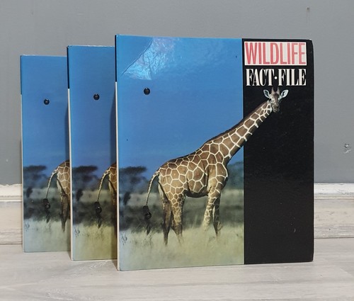 WILDLIFE FACT FILE - SET OF 3 FOLDERS | eBay UK