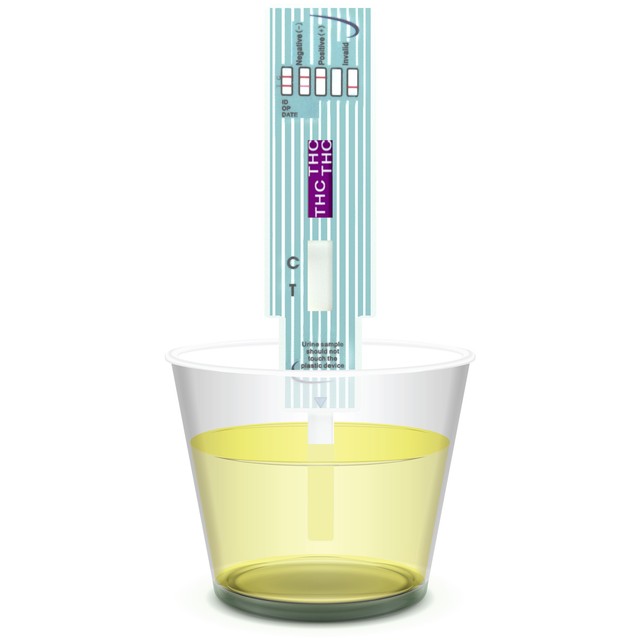 EZ Level Marijuana thC Single Panel Drug Screen Test Kit DIP Card 15 ...