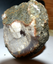 Blue and Clear Banded Quartz Crystal Points in Natural Geode | eBay