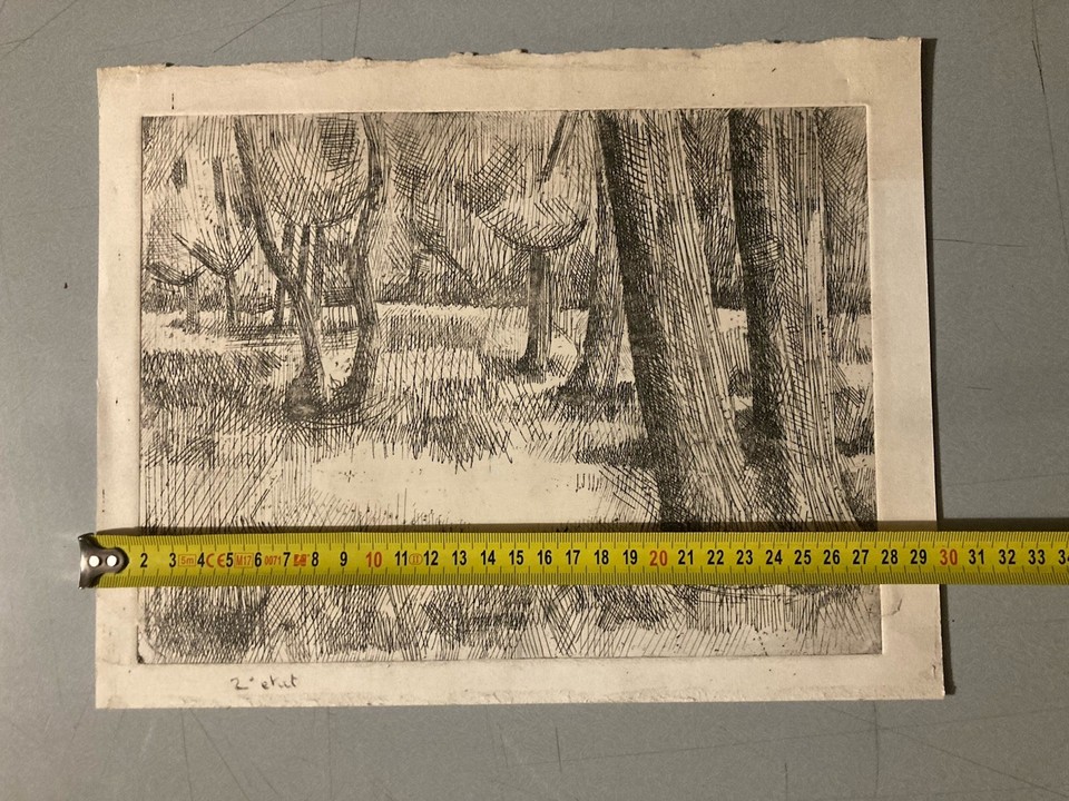Eau Forte Engraving 1950 Landscape Tree Forest Art Lithograph Print Art ...