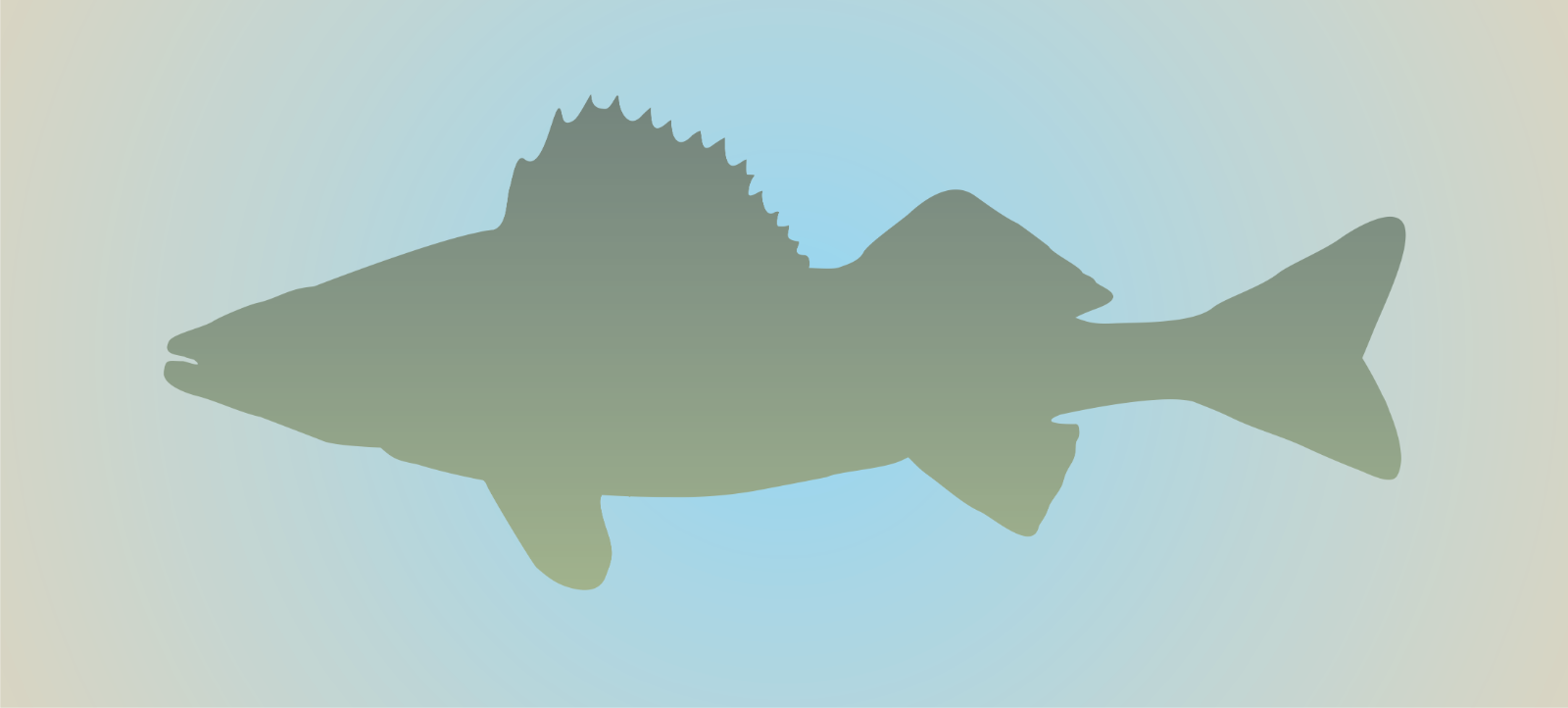 Walleye Fish STENCIL Fresh Water Fishing Outdoor Fun Sun Man Cave DIY ...