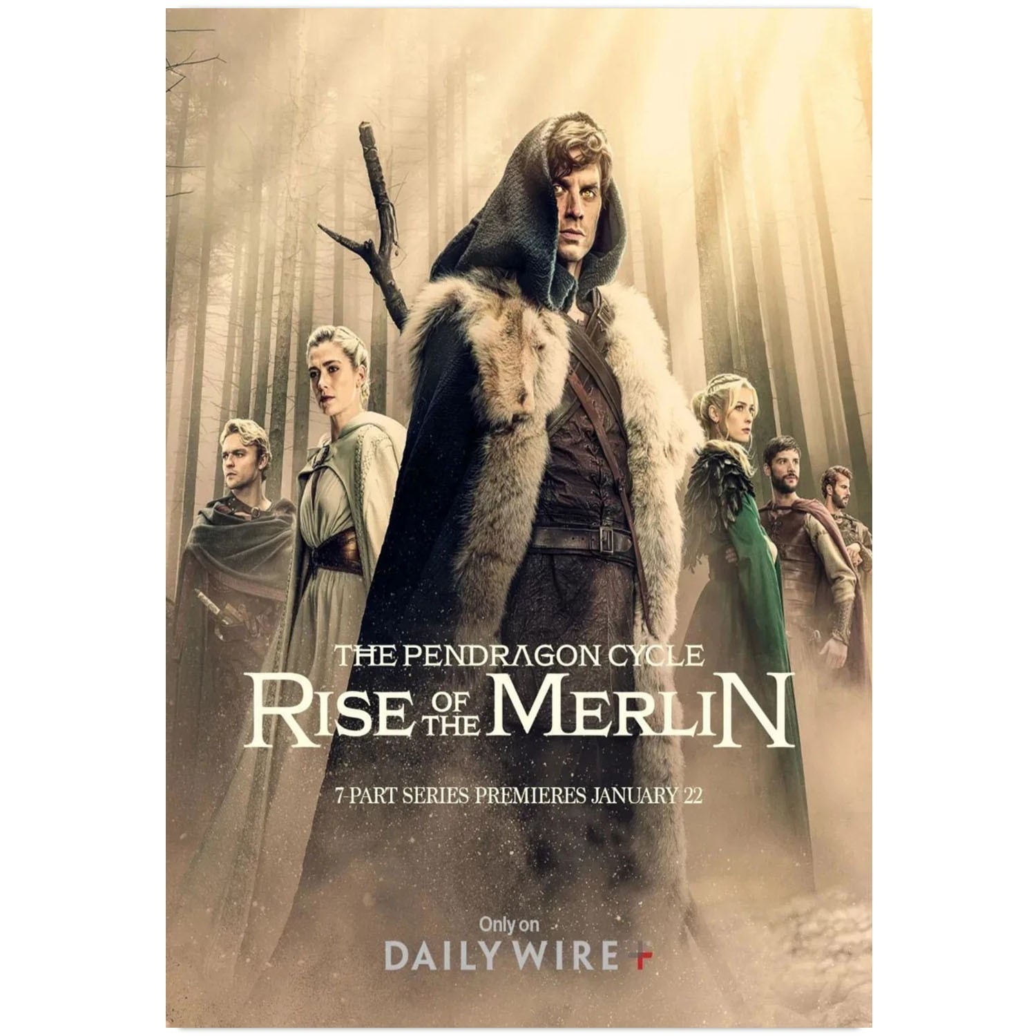 The Pendragon Cycle Rise Of The Merlin Series Poster