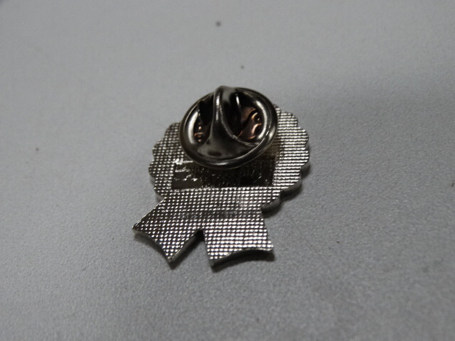 AMA (American Motorcycle Association) 2000 District Rally Vest/Lapel ...