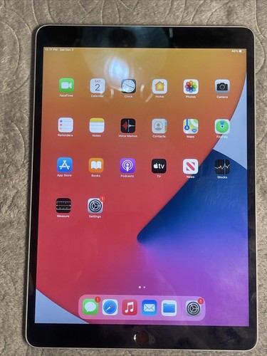 Apple iPad Pro 1st Gen. 256GB, Wi-Fi, 10.5 in - Space Gray *Read ...