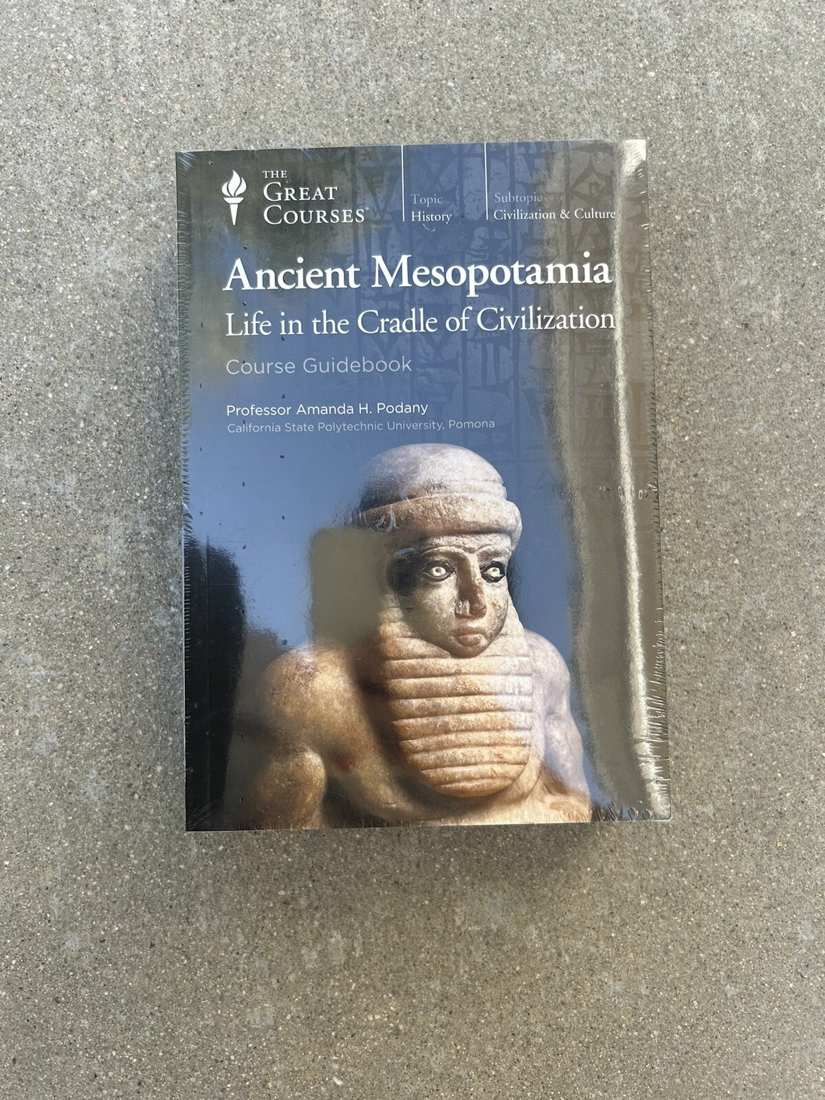 Ancient Mesopotamia : Life in the Cradle of Civilization by Amanda H ...