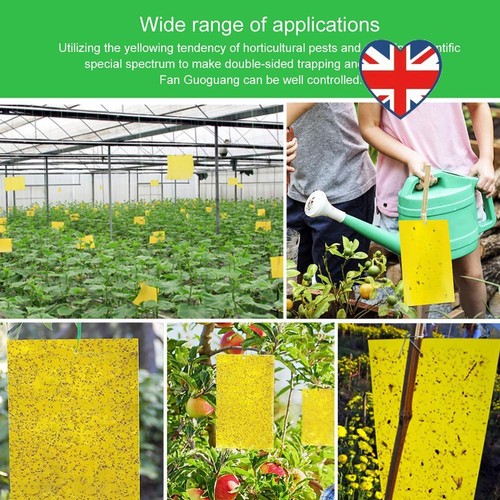 Sticky Traps - 20 Pieces Fly Paper Sticker for Indoor House Plant Gnat ...