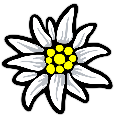 Aufkleber Sticker Edelweiß Edelweiss Alpen Blüte Blume Gebirge ...