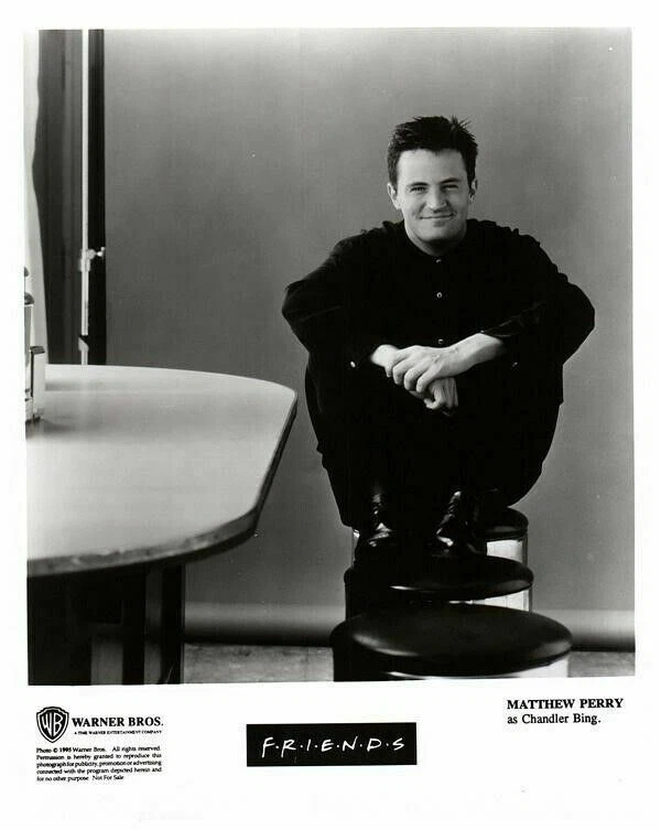 Matthew Perry 1995