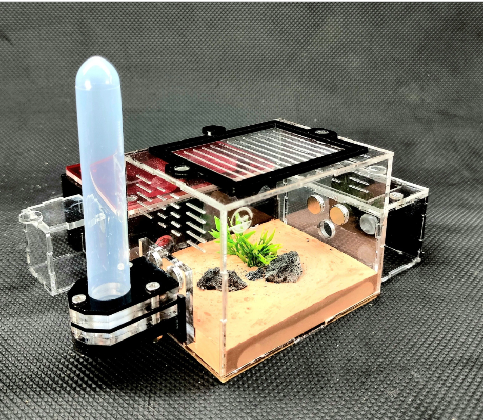 Ant tank/Ant farm - Nest N01 - Full Option | eBay