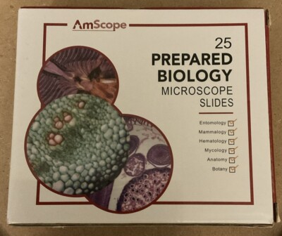 AmScope 25 Prepared Biology Microscope Glass Slides in Wooden Box Basic ...