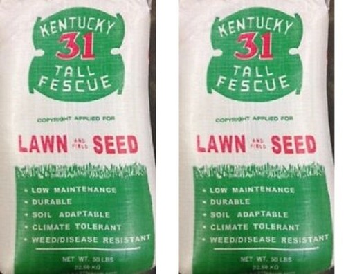 Barenbrug 491145 50 lb Kentucky 31 Tall Fescue Grass Seed 100 bs ( 2 ...