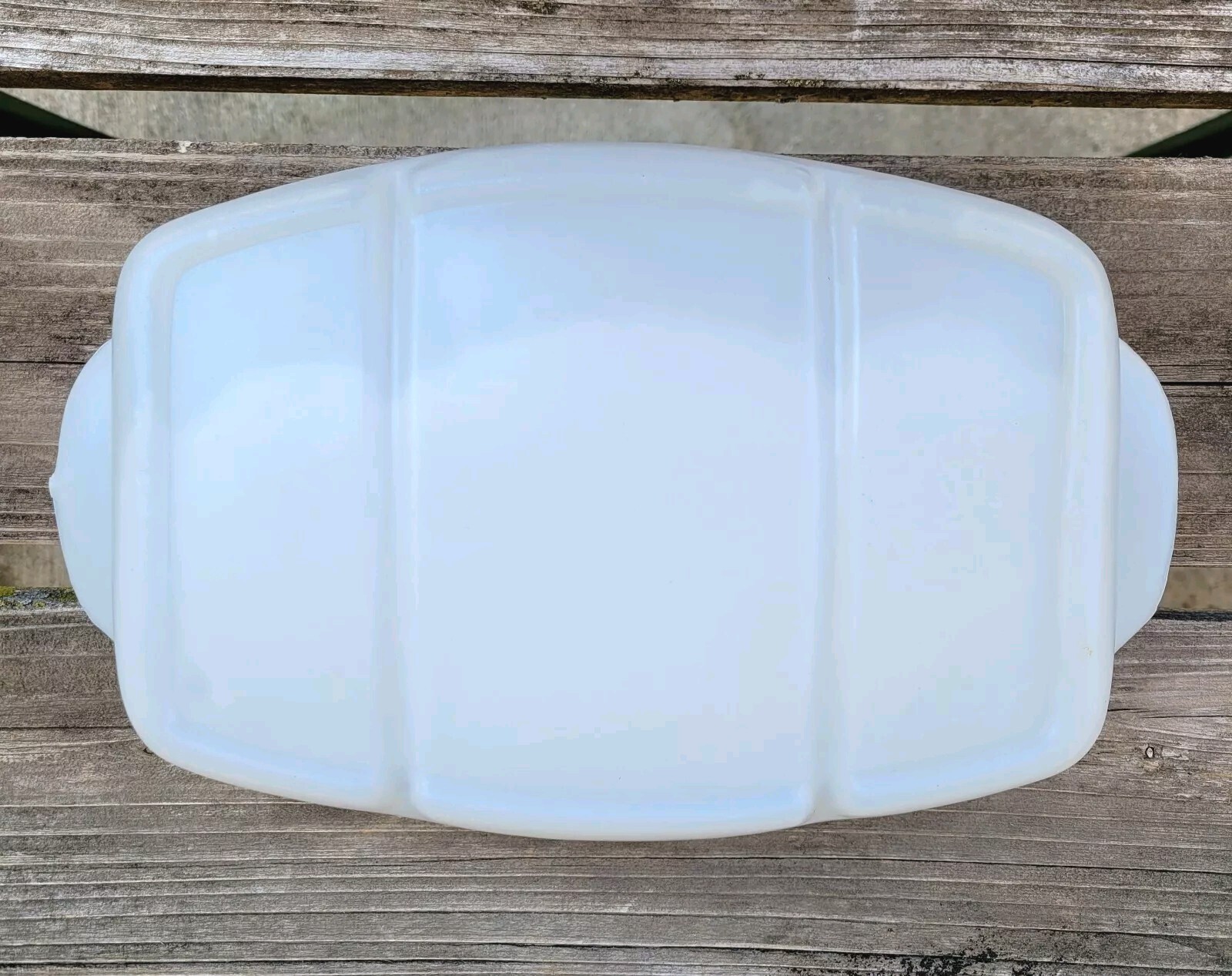 Camp Freeze Plate Party Vintage Thick Plastic Serving Tray Keep Food ...