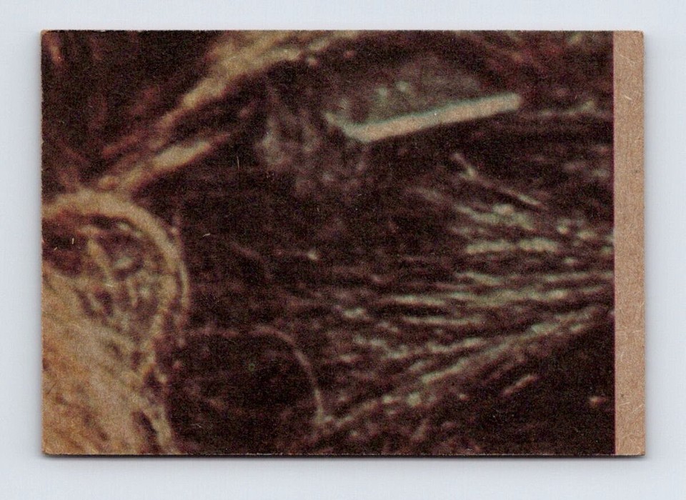 #113 BEN HIDES FROM STORMTROOPERS STAR WARS 1977 Topps Trading Card ...