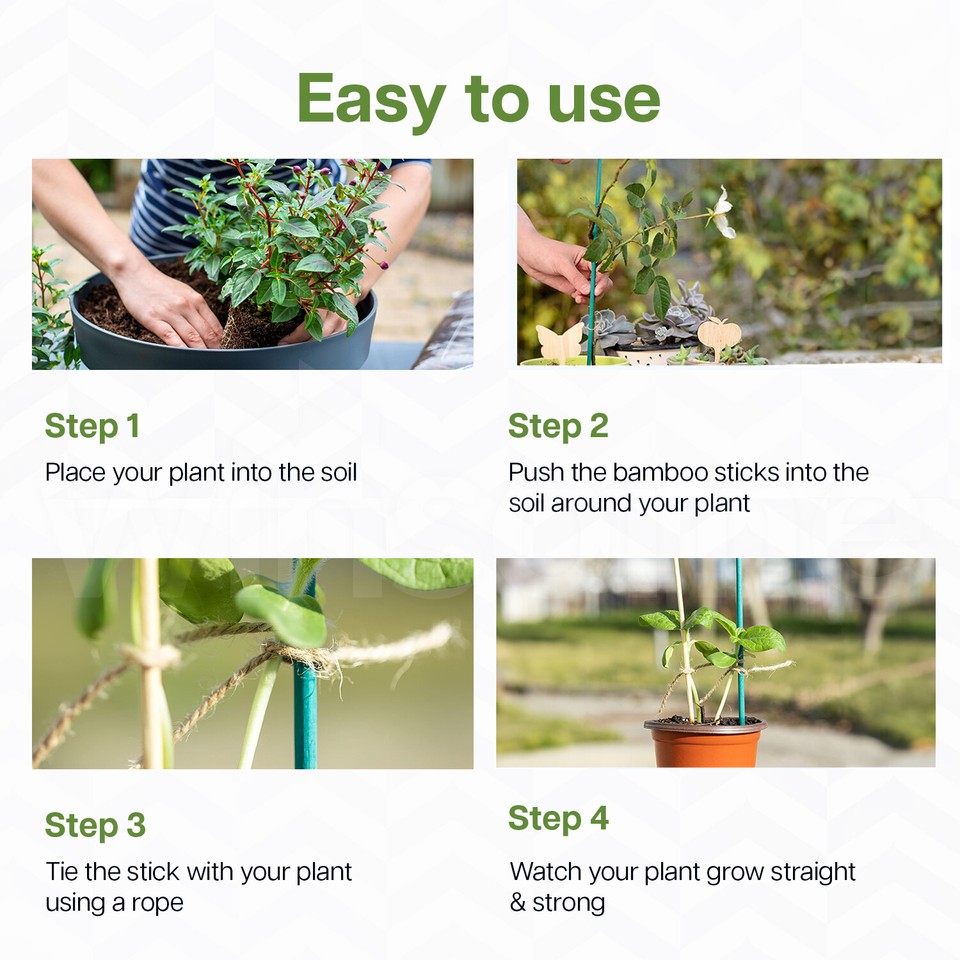 Green Flower Sticks Bamboo Split Garden Canes Grow Plant Support Stakes ...