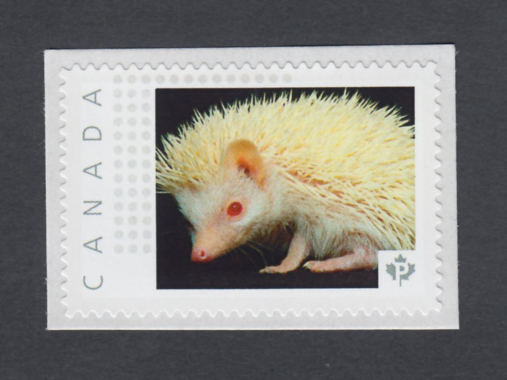 ALBINO HEDGEHOG = postage stamp MNH Canada 2014 [pp9h2/1] | eBay