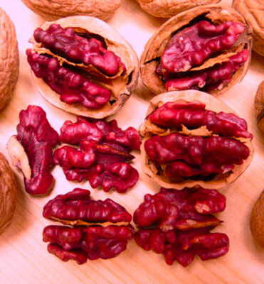 BIO ORGANIC - CARMINE- RED Walnut -10 seeds -ready -for 2025 | eBay
