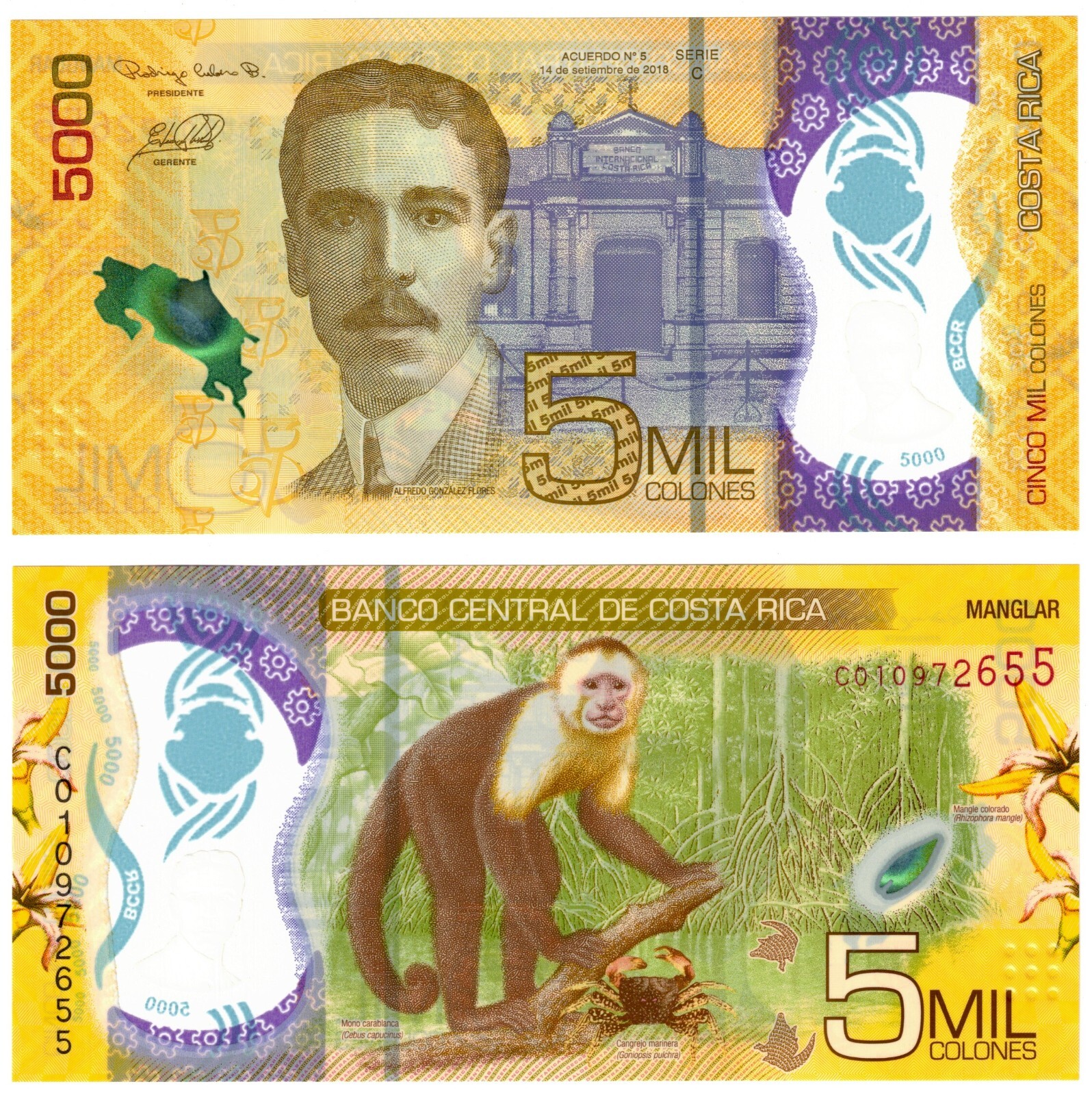 2019 Costa Rica 5000 Colones Polymer UNC Banknote P282 | eBay