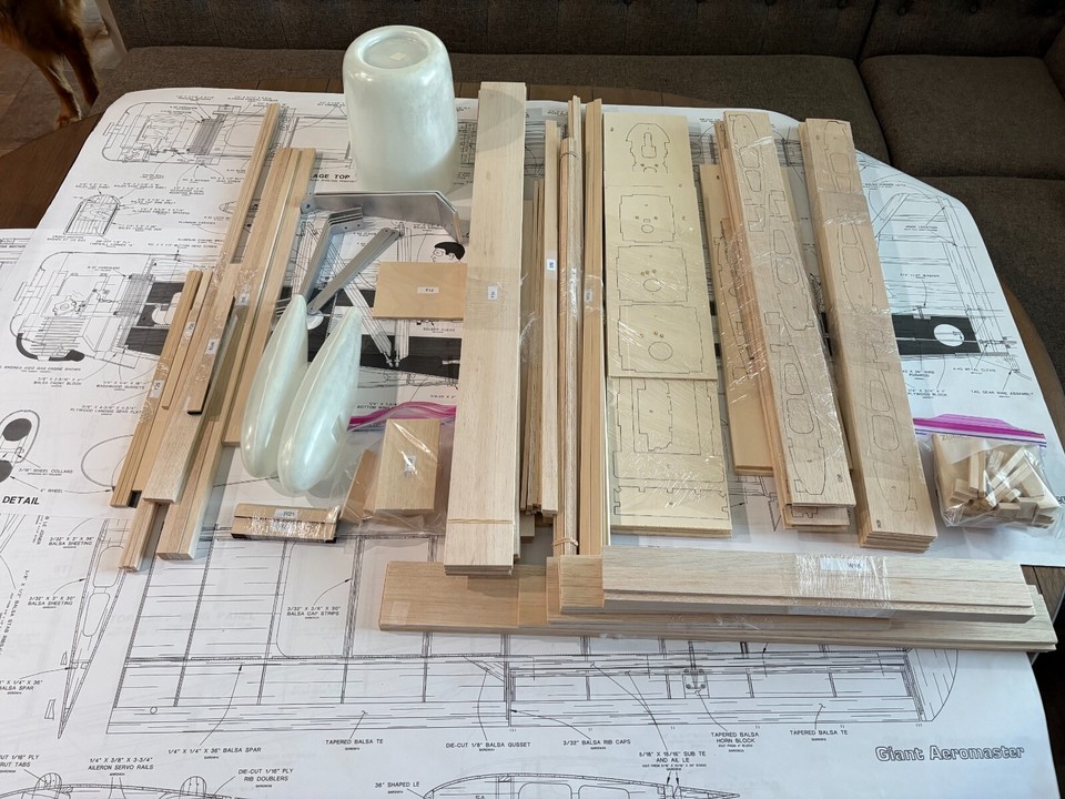 Giant Aeromaster remastered with laser cut parts | eBay