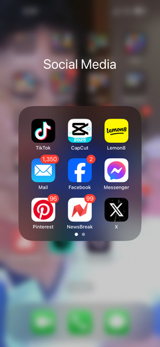 TIKTOK, CAPCUT & LEMON8 Installed iPhone 16 Plus (Pink )(AT&T) | eBay