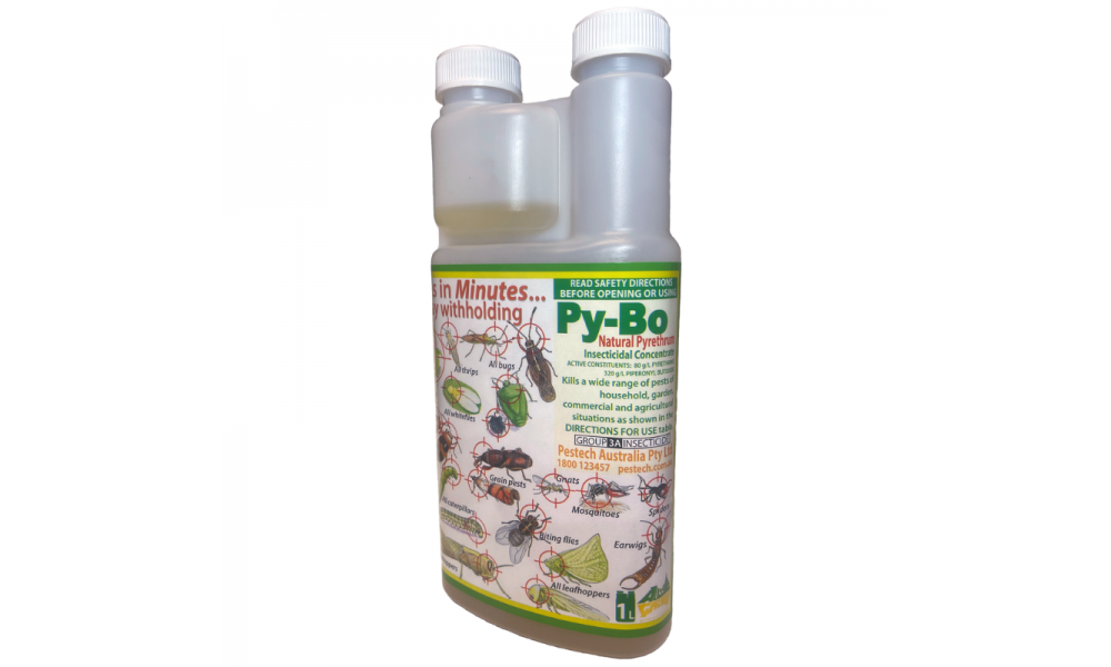 PY-BO NATURAL PYRETHRUM CONCENTRATE - 1 Litre - Pyrethrin Insect Spray ...