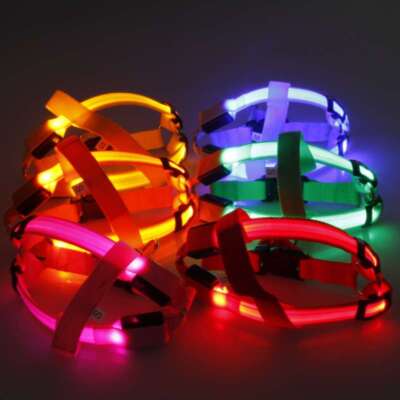 Rechargeable USB Chest Harness Led Pet Dog Glow Flashing Light-Up Night ...