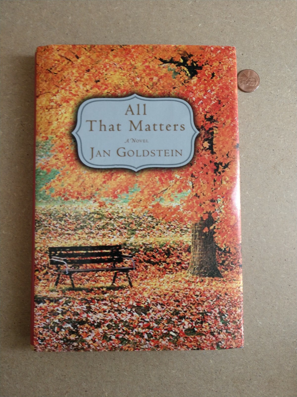 All That Matters by Jan Goldstein (2004, Hardcover, Novelization) | eBay