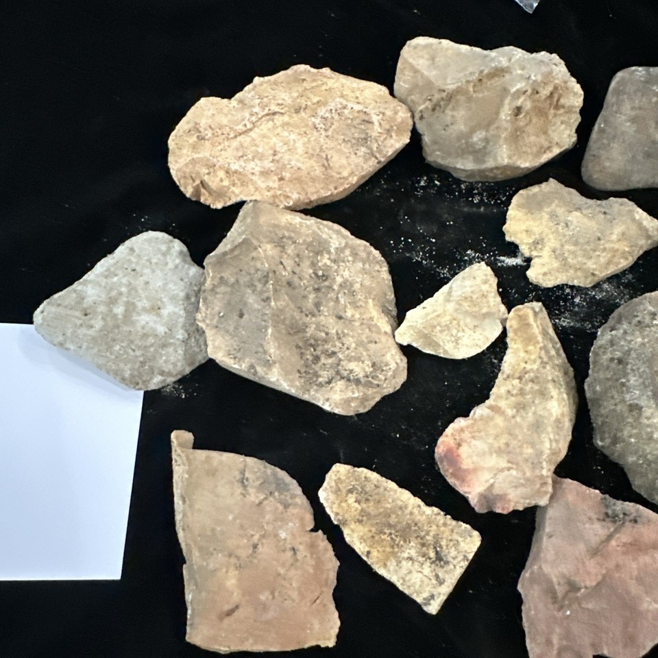 Native American Artifacts Chiseled Chert & Broken Artifacts Lake ...