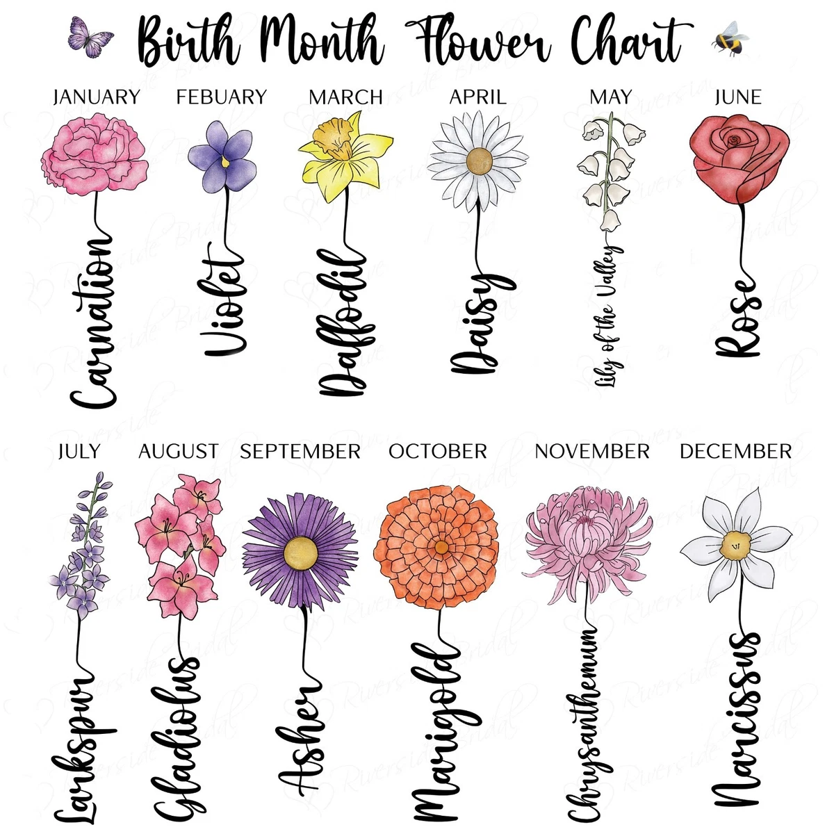 August Month Flower Name