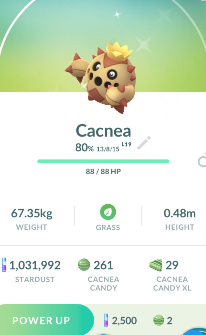 Evolucao Do Pokemon Cacnea Cacnea PhotoDex New Pokémon Snap