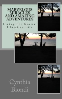 Marvelous Miracles and Amazing Adventures: Living the Normal Christian ...