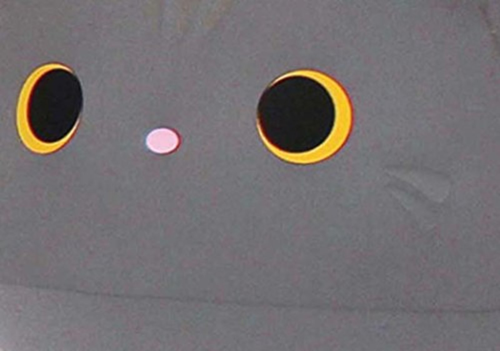 MOGU Cushion Mogutchi Cat Gray 015559 Japan for sale online | eBay