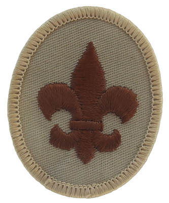 SCOUT RANK Oval 2.5" Boy Scouts of America badge PATCH BSA, brown tan ...