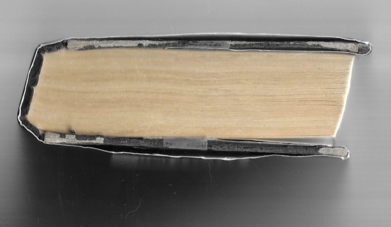 BLOOD PROMISE: A VAMPIRE ACADEMY, NOVEL BY RICHELLE MEAD, 2009 ...