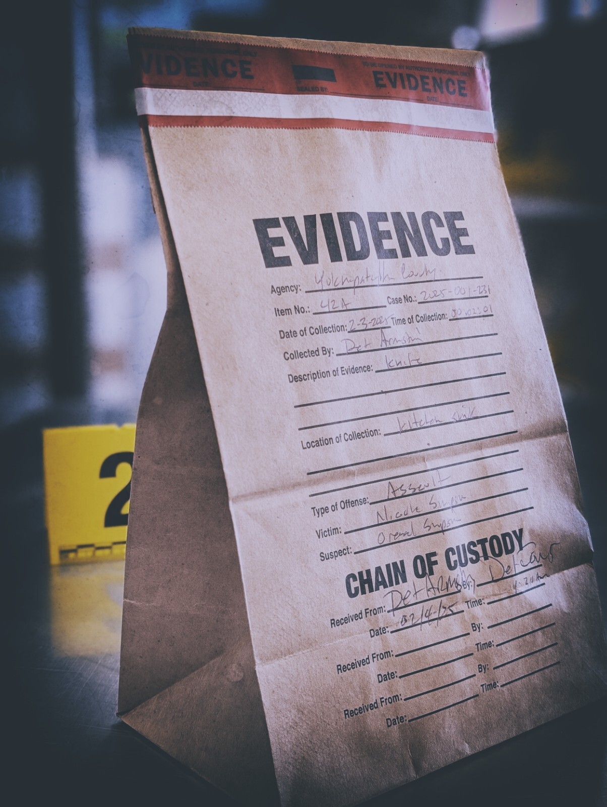 Paper Evidence Bags Sample Pack of 15 | eBay