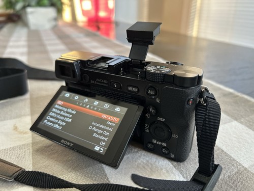 Sony a600 APS-C 24.3 Megapixeles Mirrorless camera. Excellent condition ...