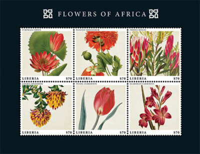 Liberia - 2013 - FLOWERS OF AFRICA - Sheet of 6 Stamps - MNH | eBay