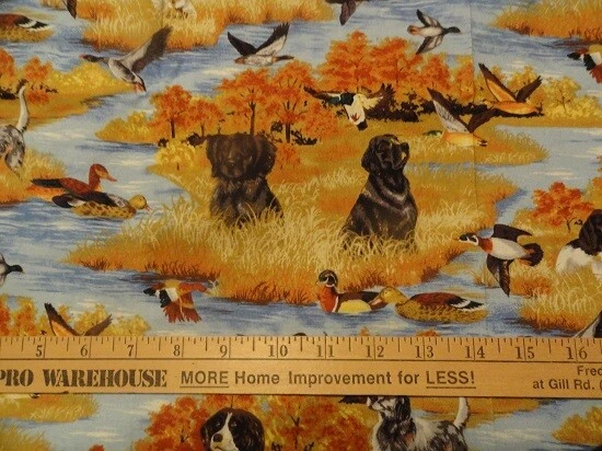 English Springer Spaniel Duck Hunting