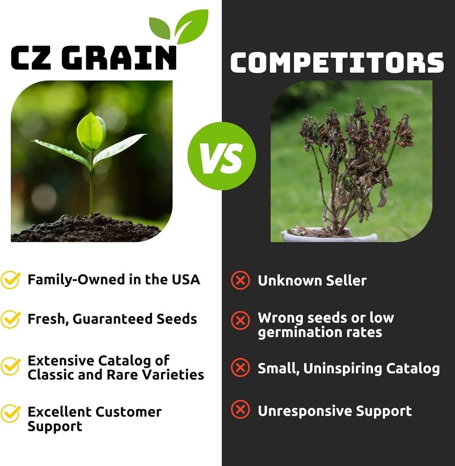 Dragon Heart Caladium Bulbs for Planting - Perennial Hosta, Elephant ...