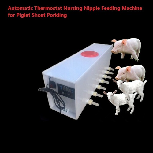 Automatic Thermostat Nursing Nipple Feeding Machine for Piglet Shoat ...