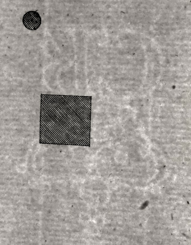 1731 Folio Genesis Schöpfung Mensch Adam und Eva Scheuchzer Physica ...