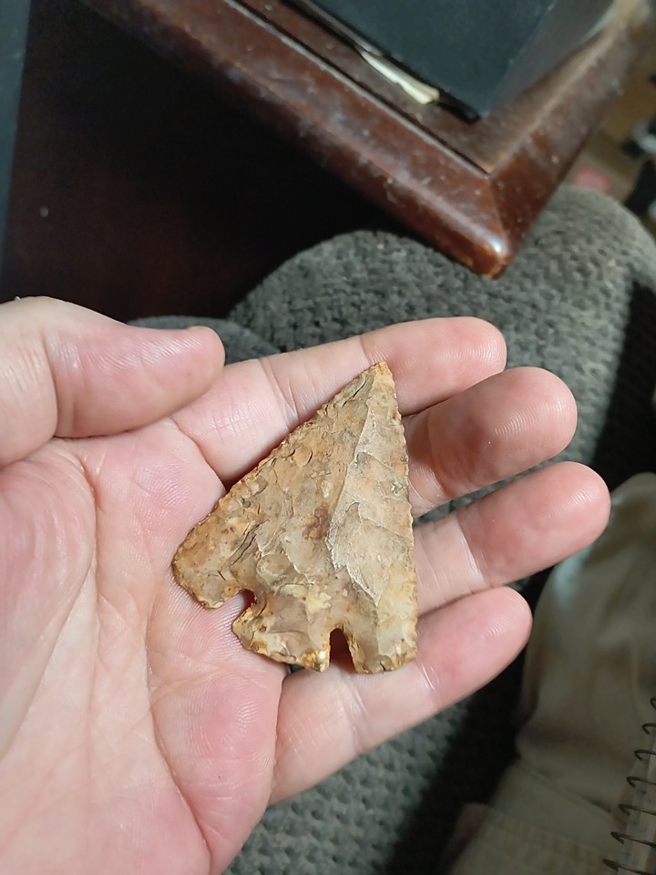 Authentic Florida Basal Notched Citrus / Clay Point Indian Arrowhead ...