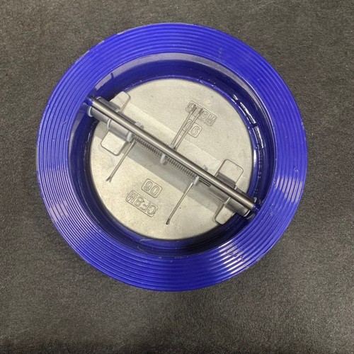 FNW FNW682 Wafer Check Valve, Cast Iron 125 Class 6" * | eBay