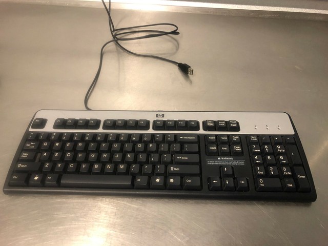 Hewlett Packard KU-0316 USB Wired 104-Key Layout Keyboard ( Black ...