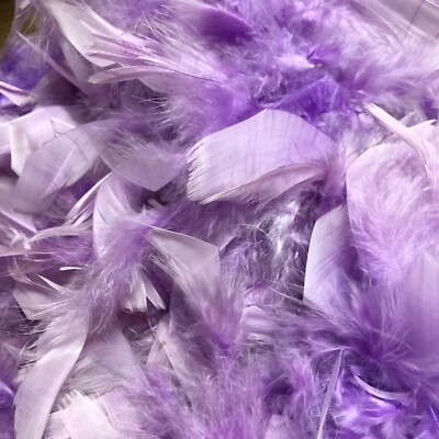 Feather Boa Lilac Purple 6ft | eBay
