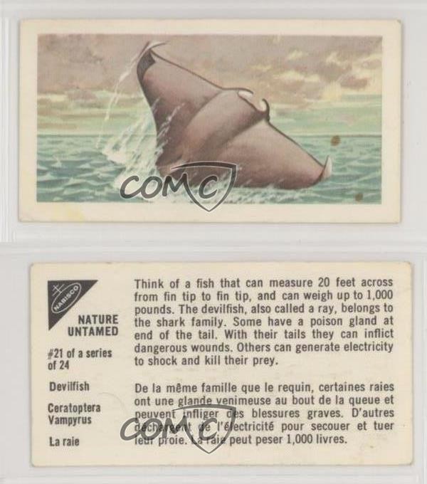 1958 Nabisco Canada Nature Untamed Food Issue Devil Fish #21 a8x | eBay