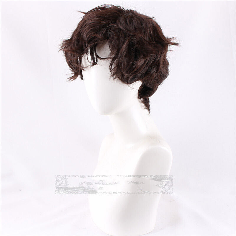 Call Me by Your Name Timothée Chalamet Cosplay Wig Elio Hair Dark brown ...