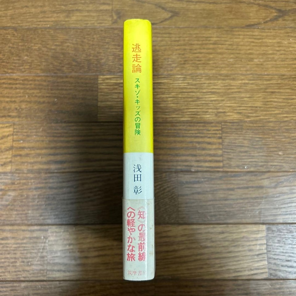 The Theory of Escape ~The Adventures of Schizo Kids Akira Asada Chikuma ...