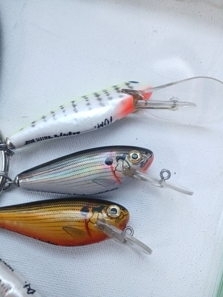 BAGLEY SALEMANS SAMPLE FISHING LURE | eBay
